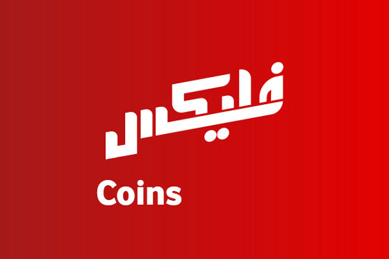 Flex | Vodafone Egypt